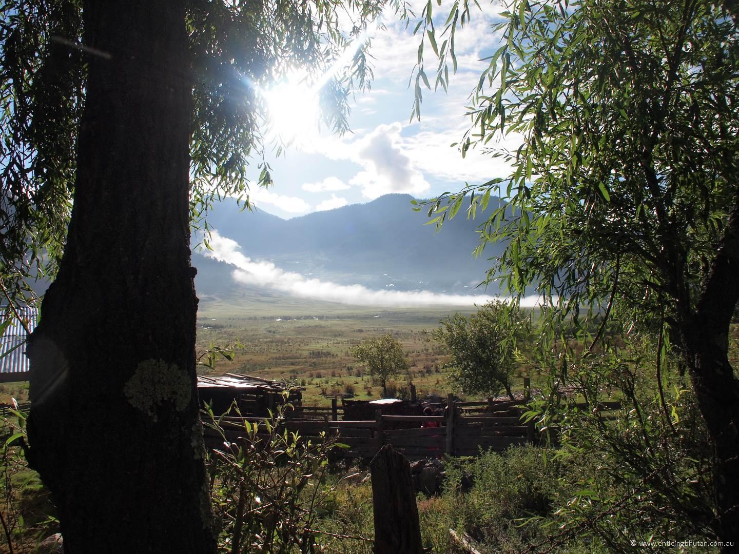 Enticing Bhutan Tours and Treks